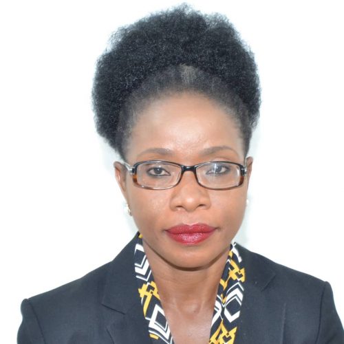 Board of directors – Malawi Agriculture and Industrial Investment ...