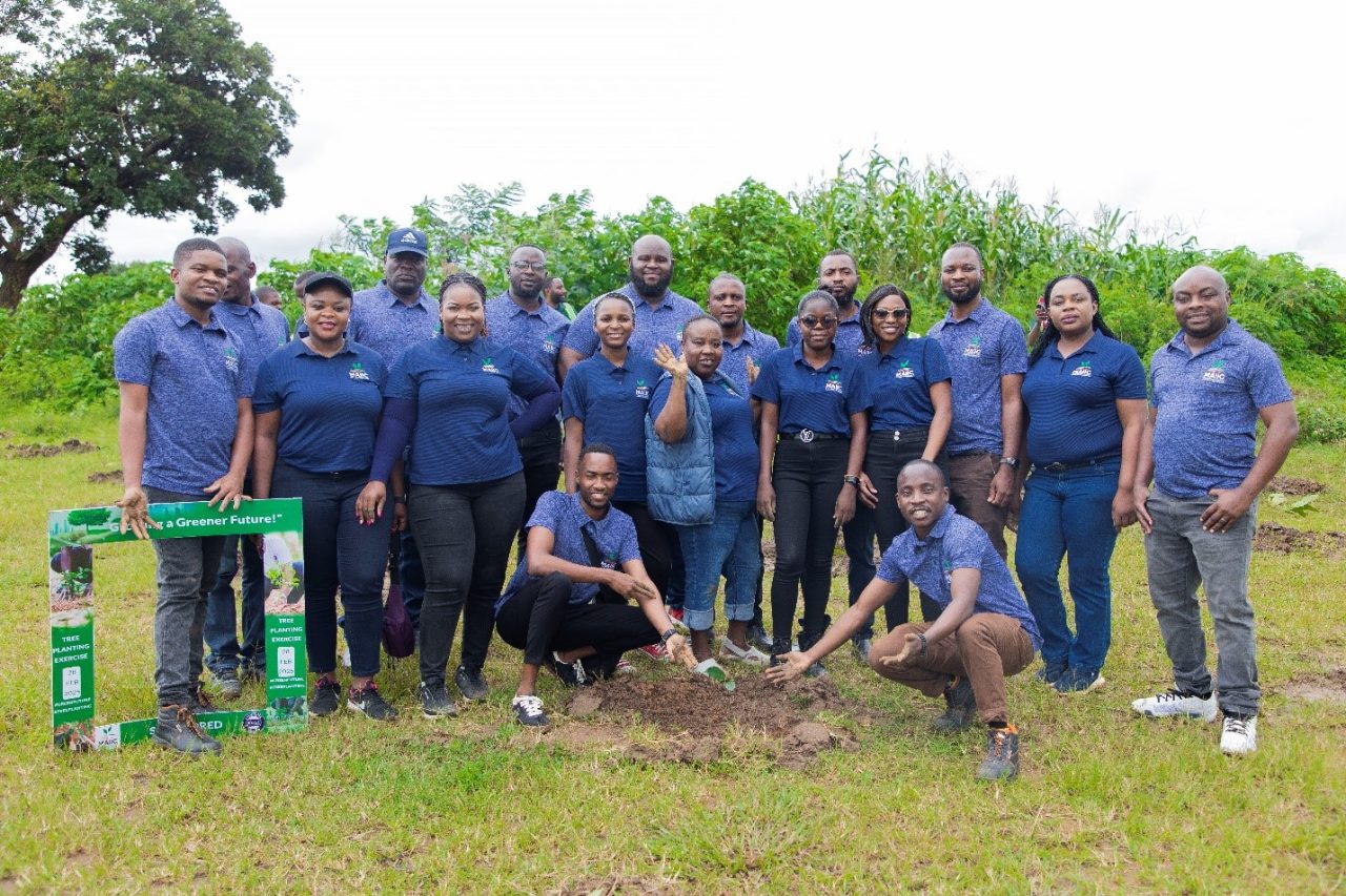 MAIIC & Lilongwe Water Board Tree Planting Exercise – Malawi ...