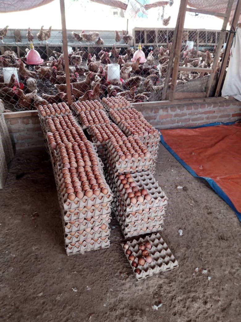 Media Coverage Field Visit – Malawi Agriculture and Industrial ...