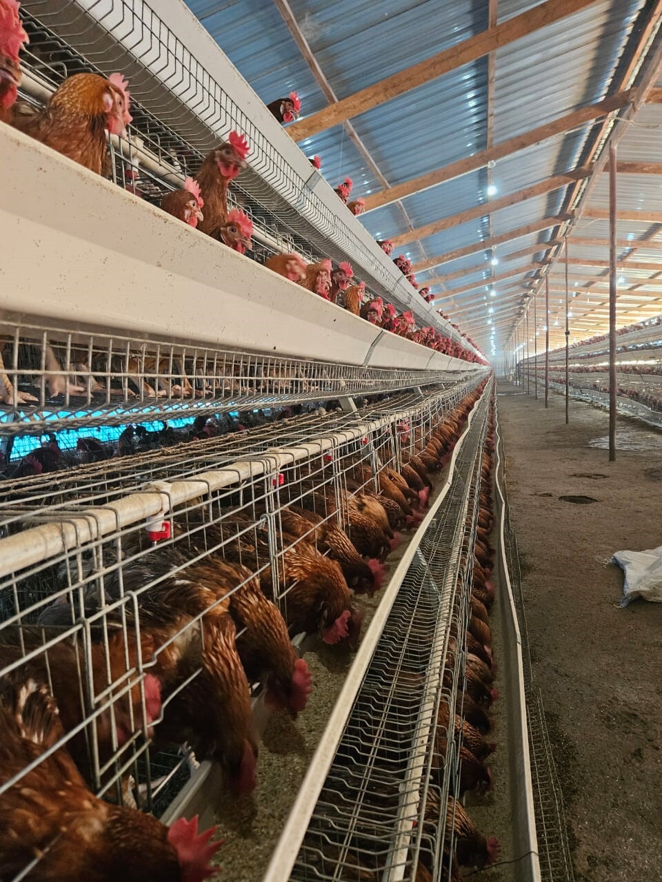 Media Coverage Field Visit – Malawi Agriculture and Industrial ...