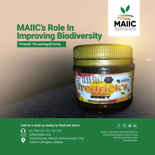 Success Stories – Malawi Agriculture and Industrial Investment ...